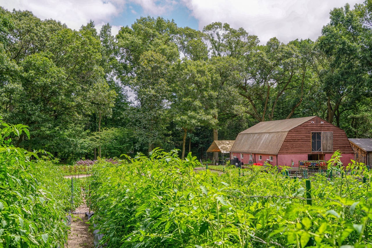 Donate | ELIJA Farm CSA