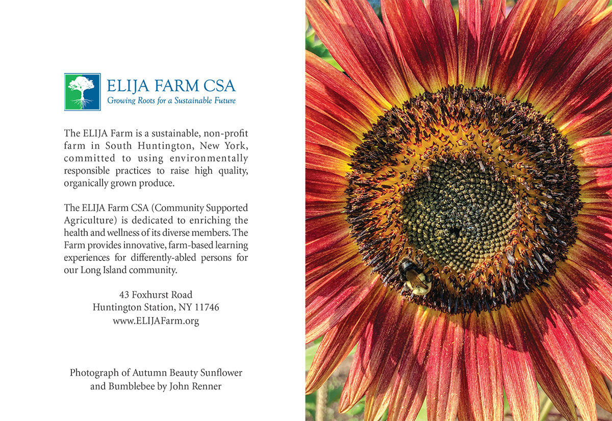 Shop | ELIJA Farm CSA