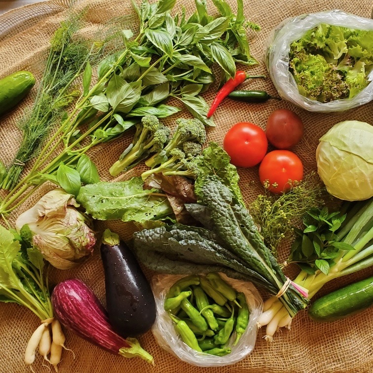 2025 Summer CSA | ELIJA Farm